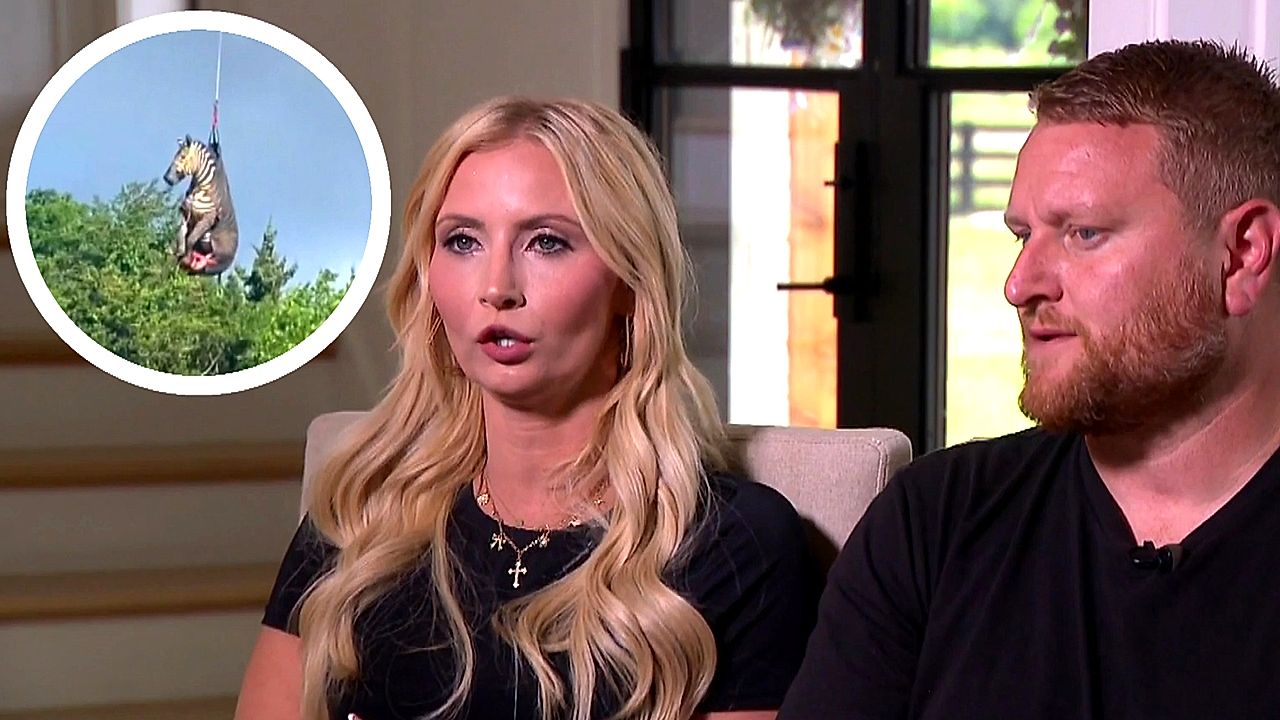 Owners of Ed the zebra speak to reporters about the viral animal's escape