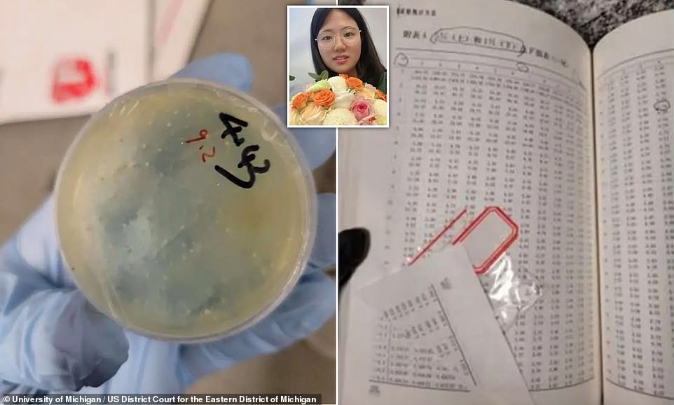 Third Chinese scientist accused of covertly smuggling pathogen into US