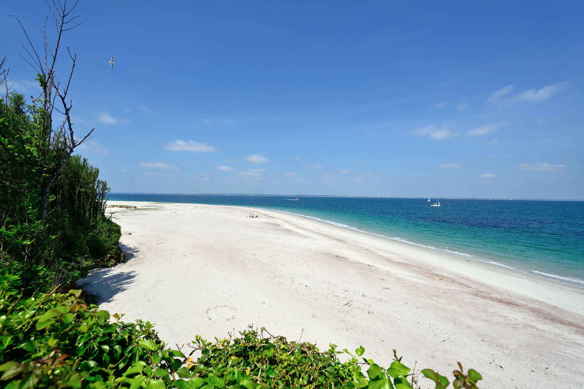 Great cars everyone should drive at least once