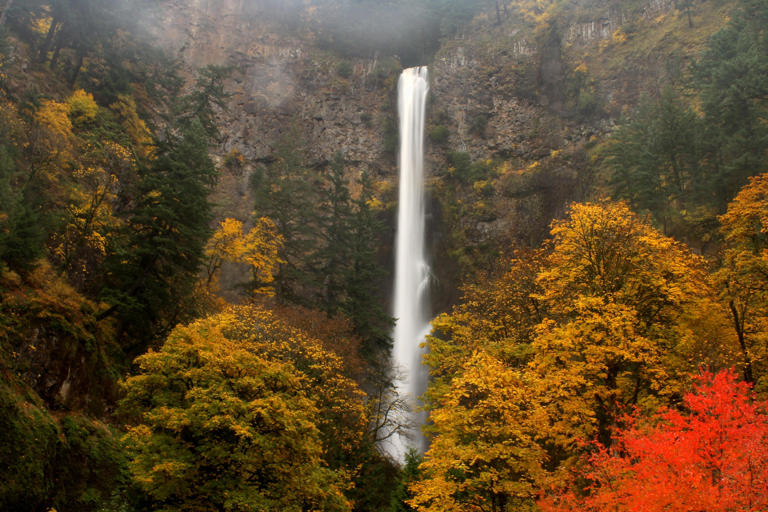 What are the most stunning views in Oregon? Experience our top picks