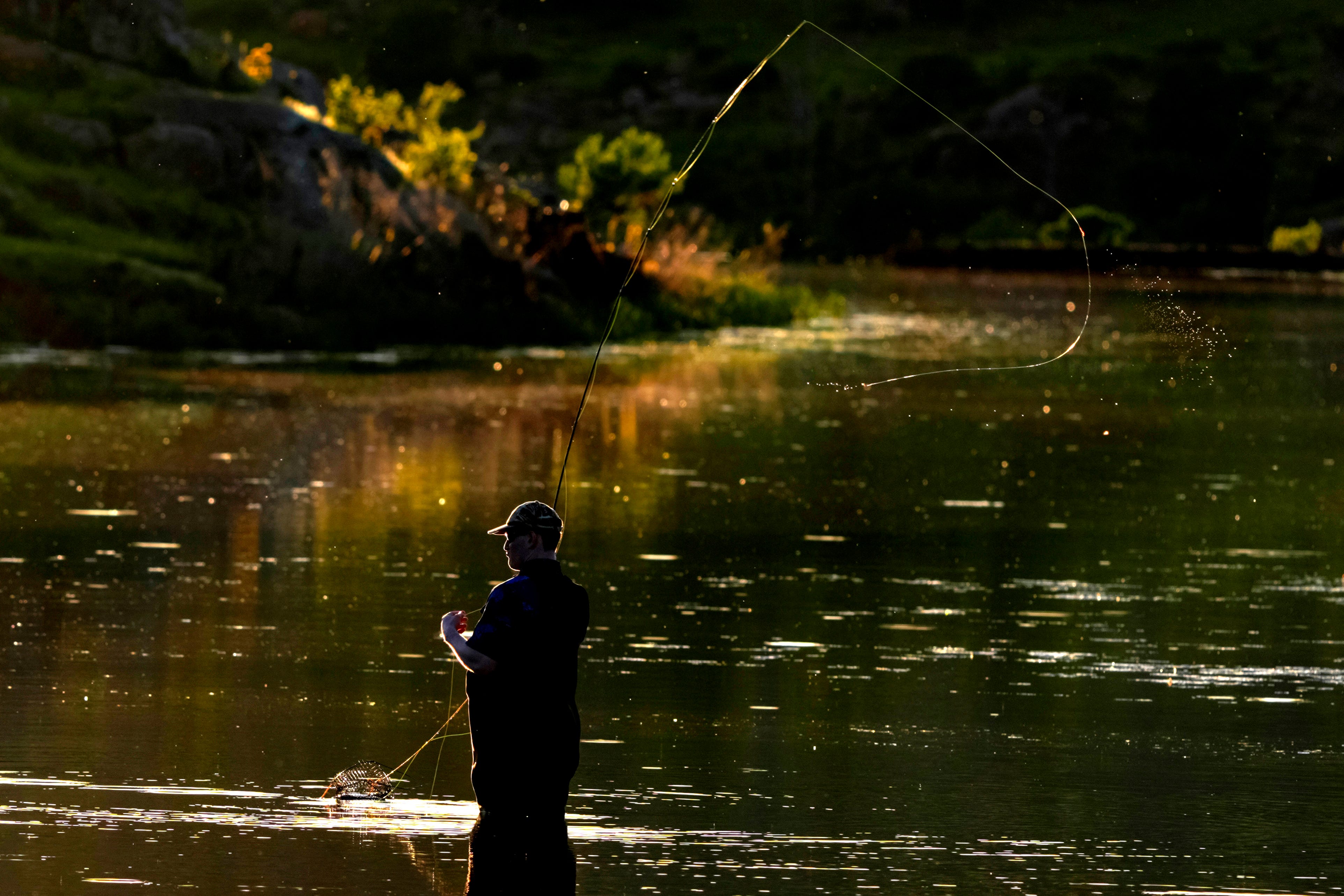 Oklahoma offering $100 bounty for catching invasive black carp