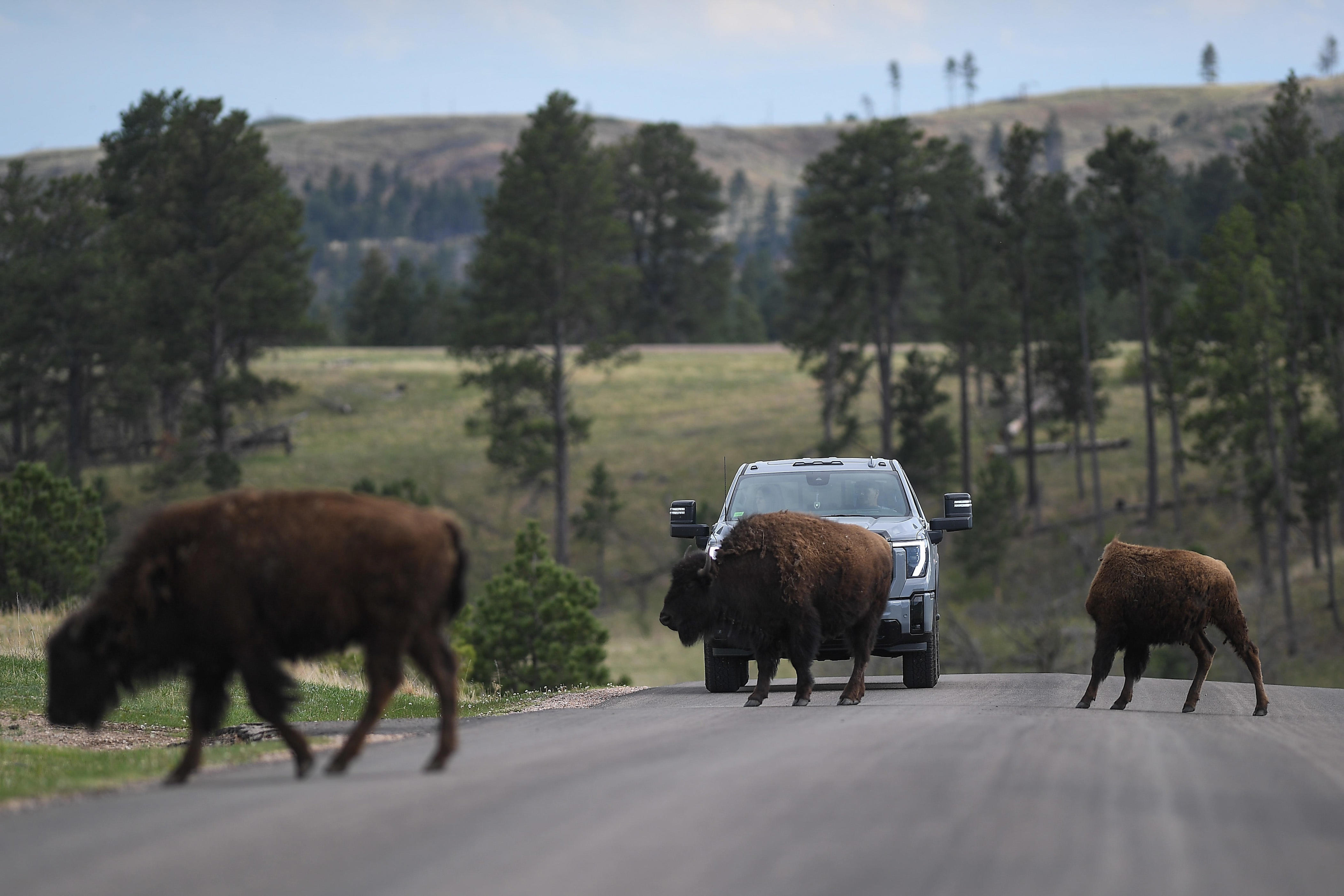Planning to visit a South Dakota state park in 2026? Here's how to get ...