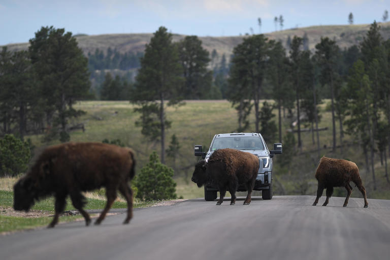 Planning to visit a South Dakota state park in 2026? Here's how to get ...
