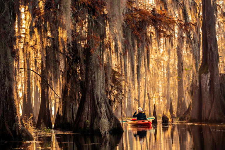 See Louisiana site named among USA TODAY’s Most Treasured Views