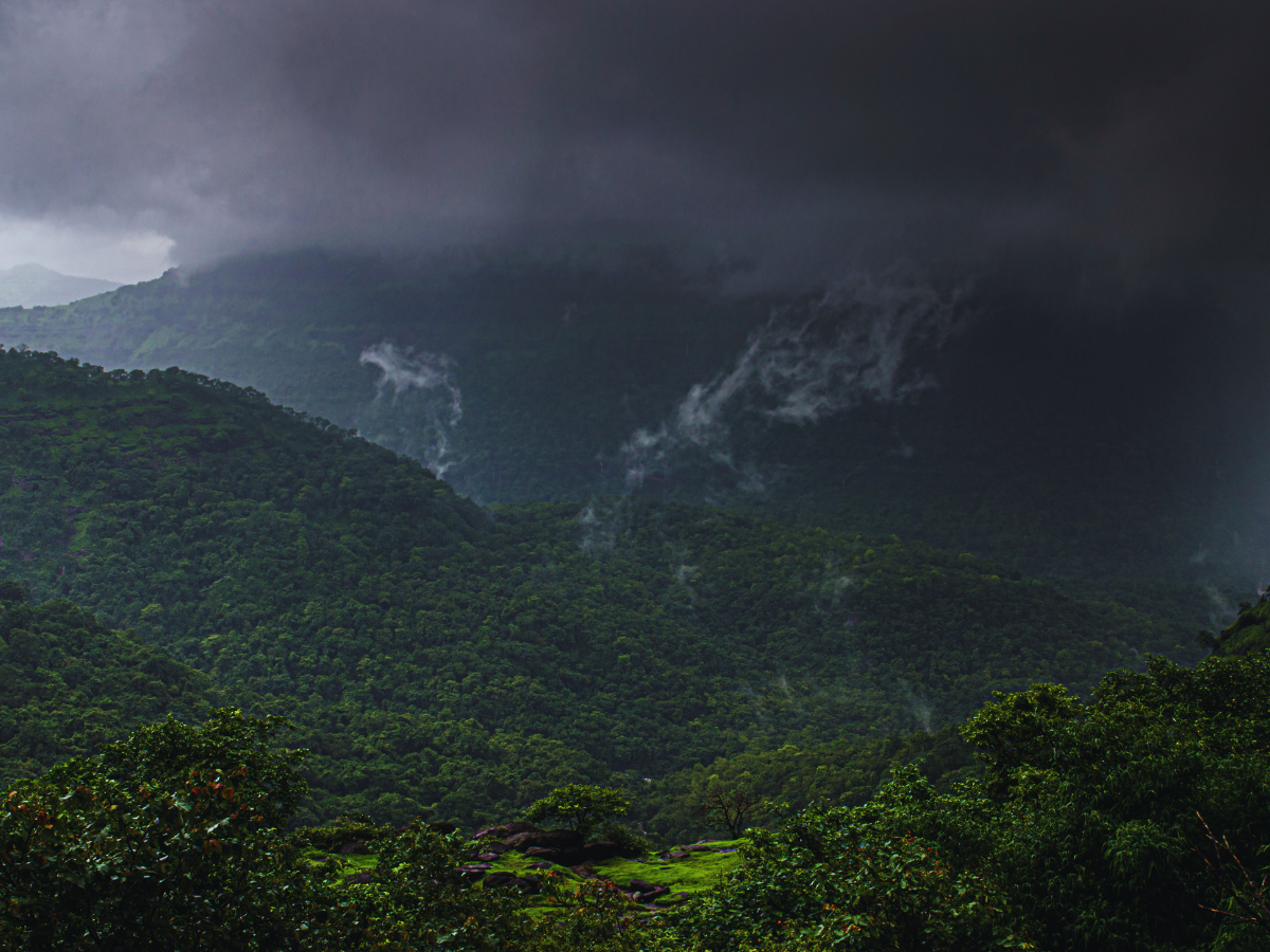 5 monsoon escapes in Maharashtra that turn magical with rain