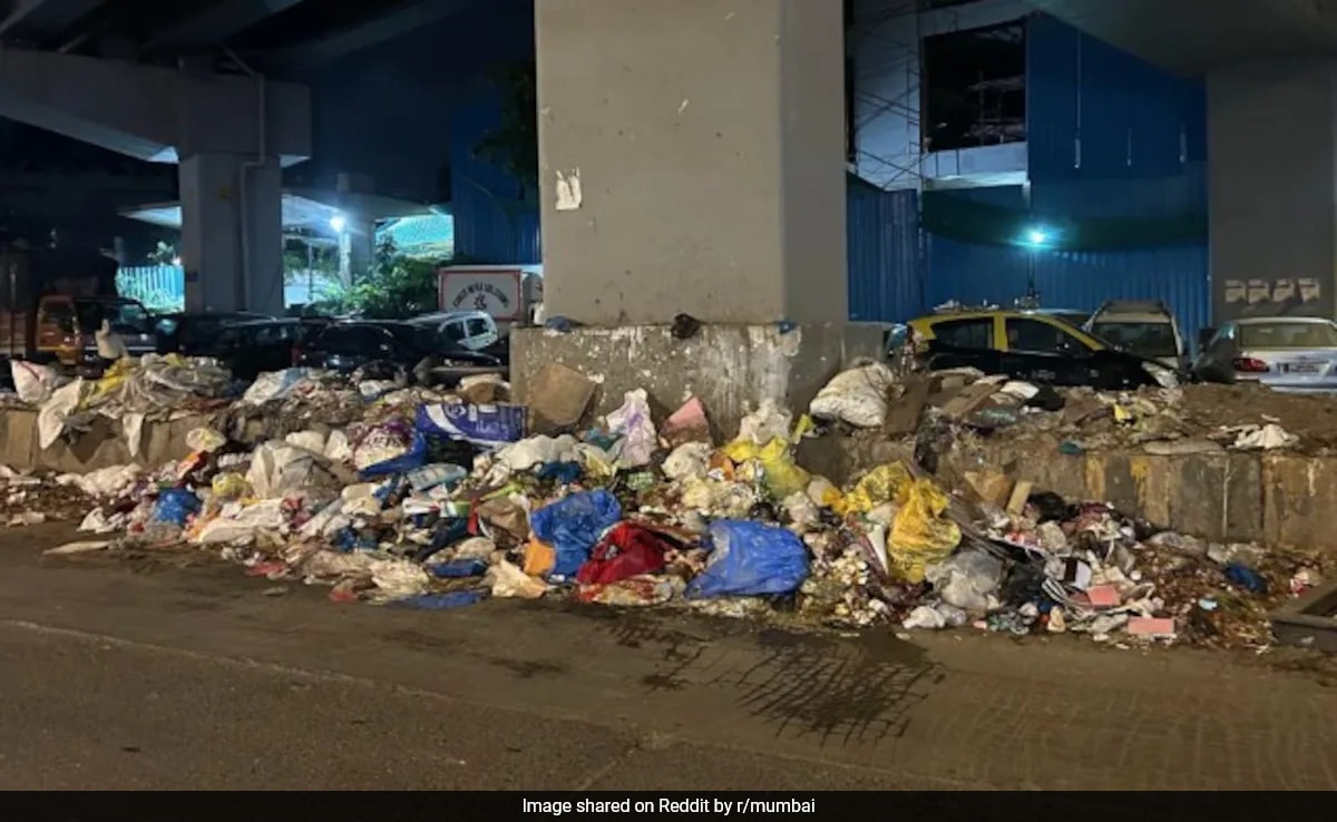 Reddit User Posts Pics Of Garbage Dumped On Mumbai Roads: "Serious ...