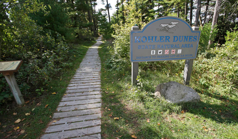Kohler-Andrae hosts bird walk, bee survey and kite workshop