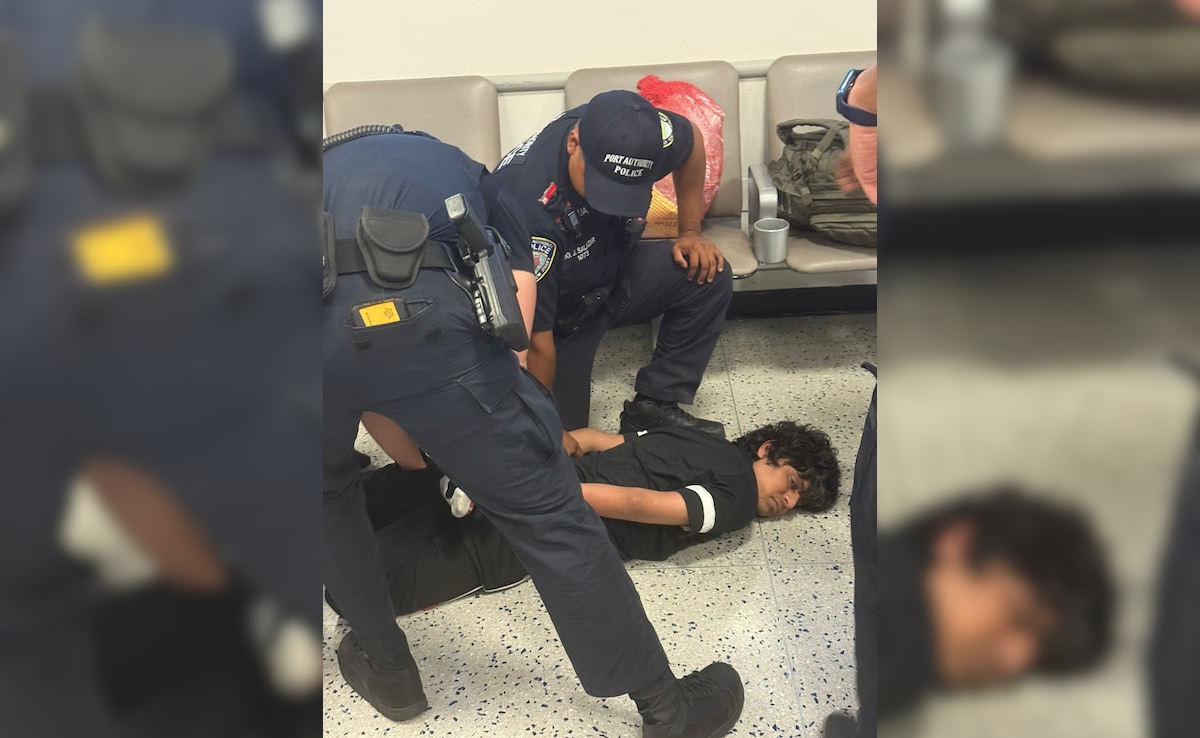 "In Touch With Authorities": India On Man Being Pinned Down At US Airport