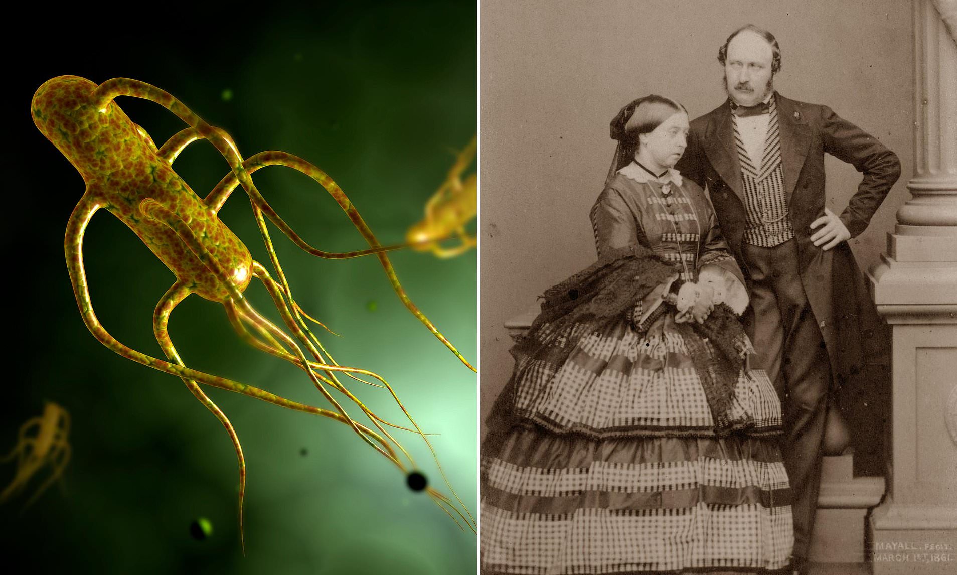 Major warning as UK cases of Victorian 'bleeding disease' reach record high