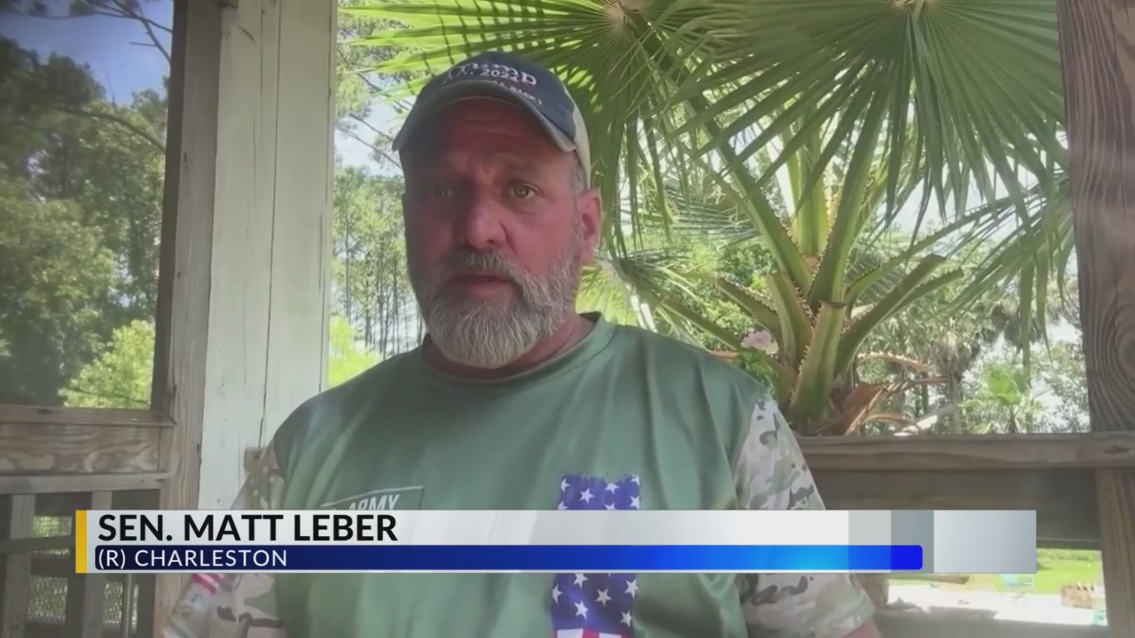 South Carolina senator sues his own Legislature over $18,000-a-year pay ...