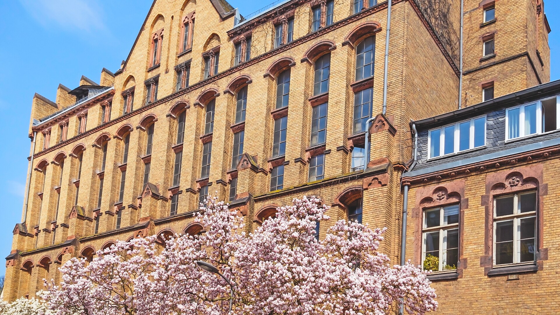 Marburgs neues Uni-Logo kostete 190.000 Euro und sorgt für jede Menge Spott