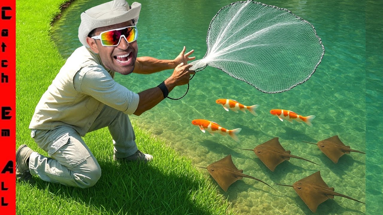 Rare pet fish react to a surprising Catch Em All encounter