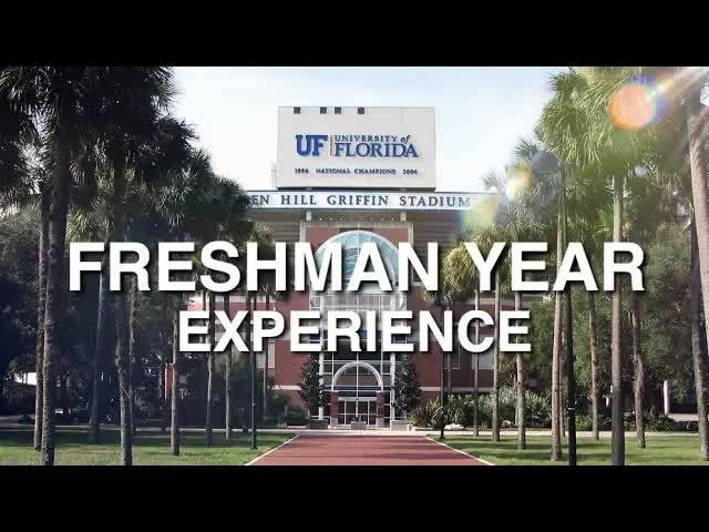 My UF Freshman Experience