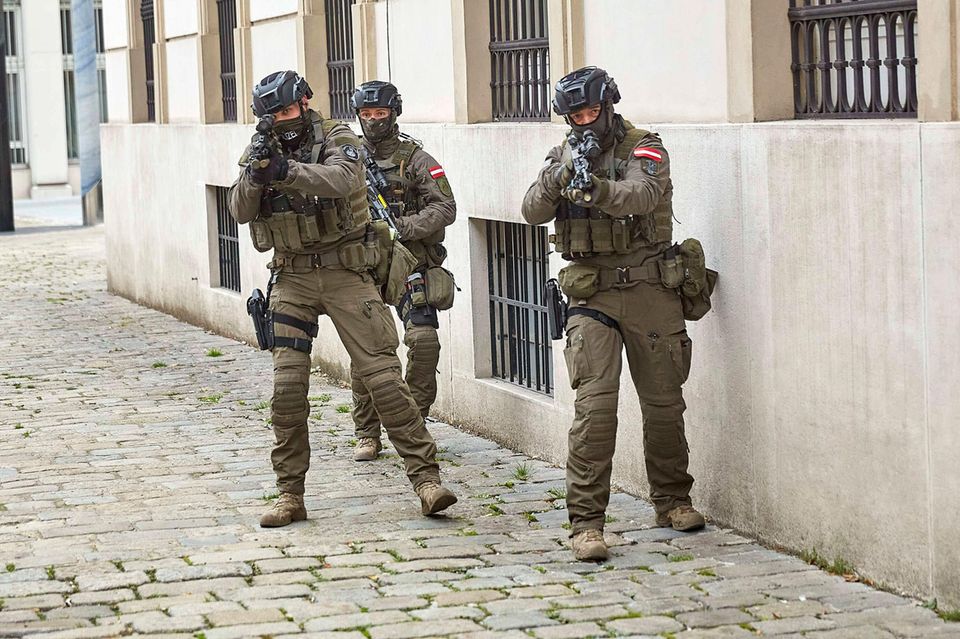 Einsatzkommando: EKO Cobra: Österreichs Speerspitze im Kampf gegen den ...