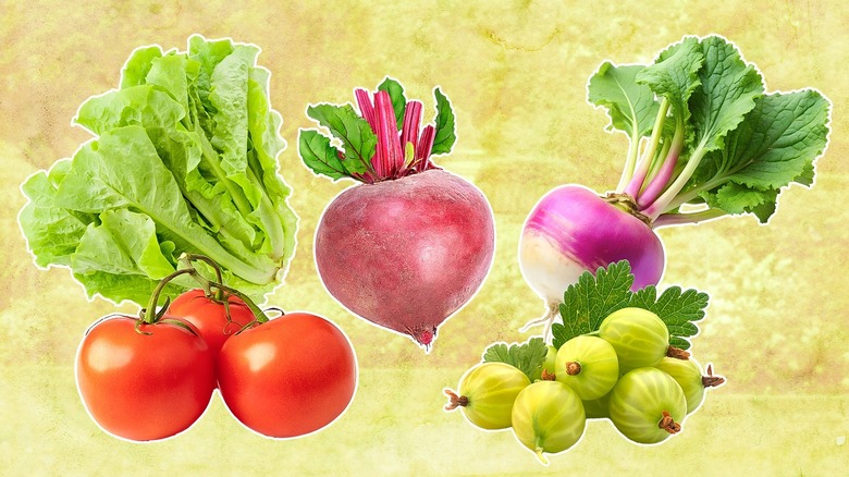 15 Easy Fruits And Veggies Every Beginner Gardener Should Grow