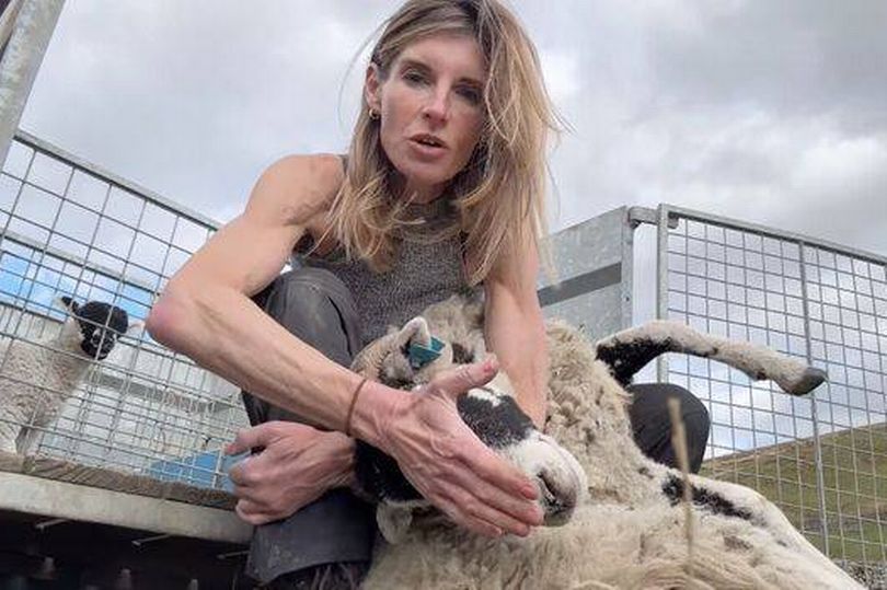 Our Yorkshire Farm's Amanda Owen announces huge news of 'latest ...