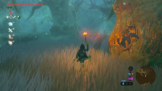 The Legend of Zelda: Breath of the Wild Nintendo Switch 2 gameplay