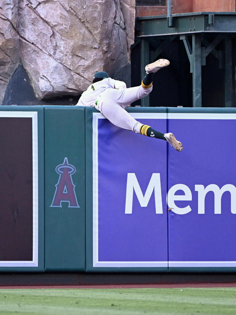 MLB Player Makes Catch That Would Make Spider-Man Proud