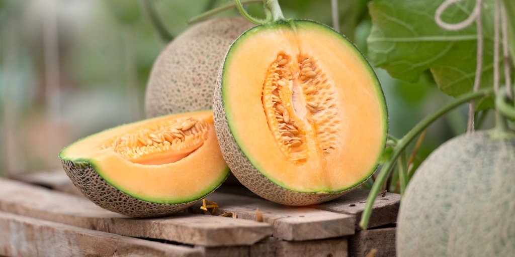 Quels vins boire avec du melon