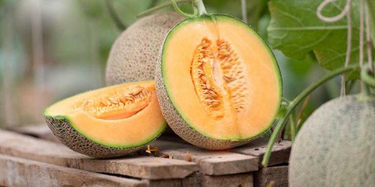 Quels vins boire avec du melon