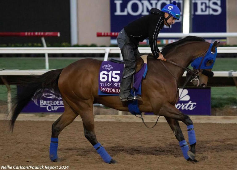 Breeders' Cup Runner-Up Motorious Makes 2025 Debut In Daytona