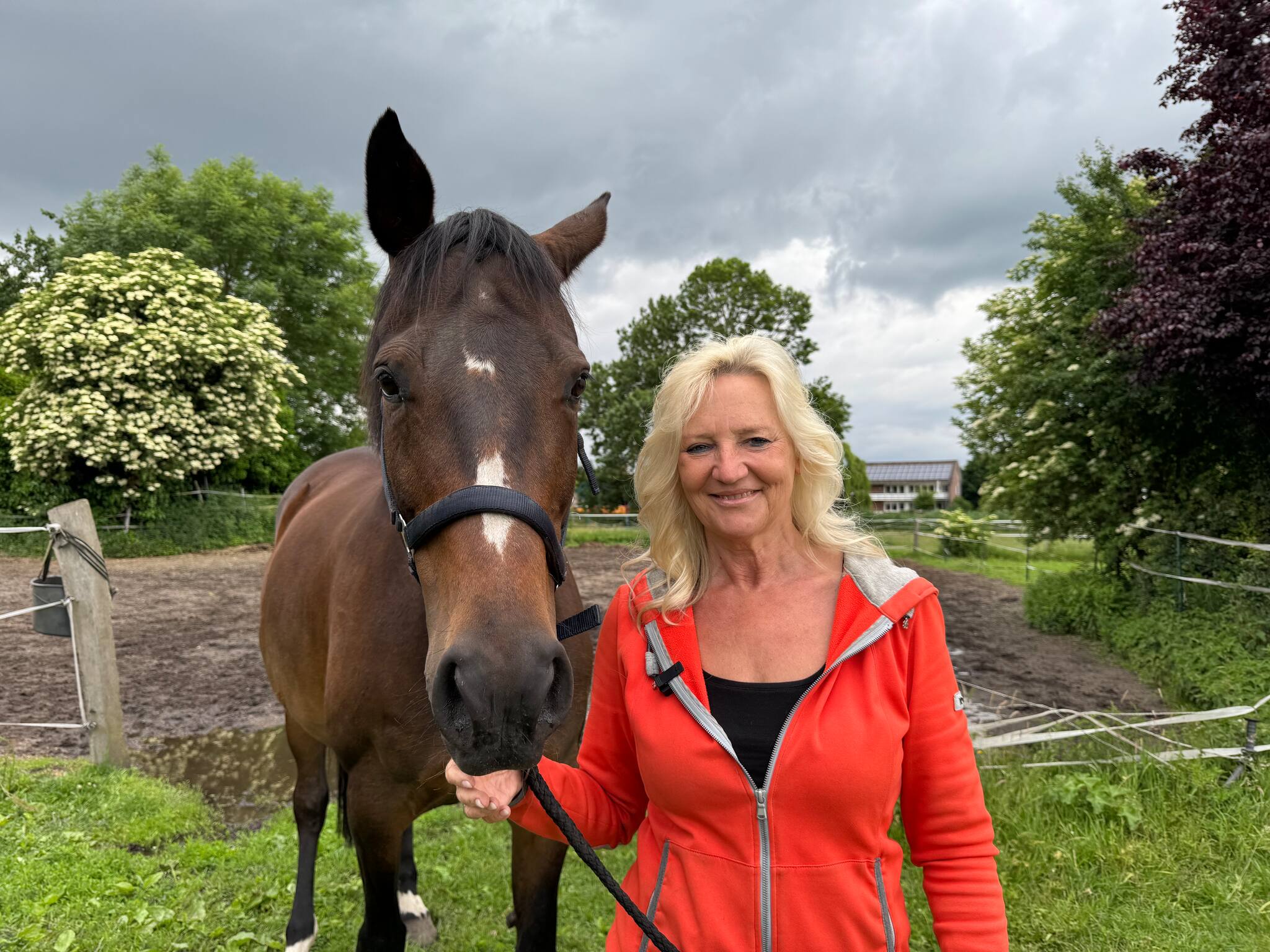 Pferd springt in Pool – Feuerwehr muss ungewöhnliche Rettungsaktion ...