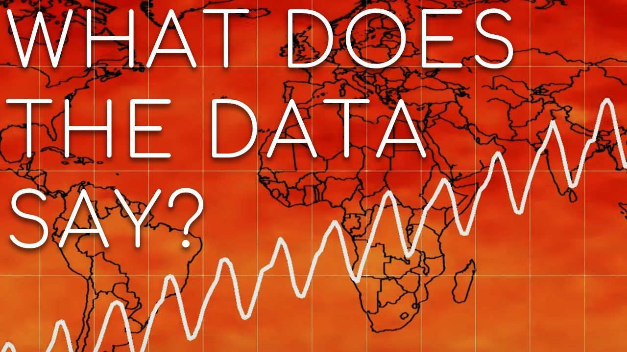 Wildfire Feedback Loops and Their Impact