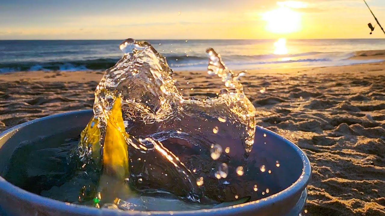 Insane Pompano Haul – Commercial Surf Fishing Success