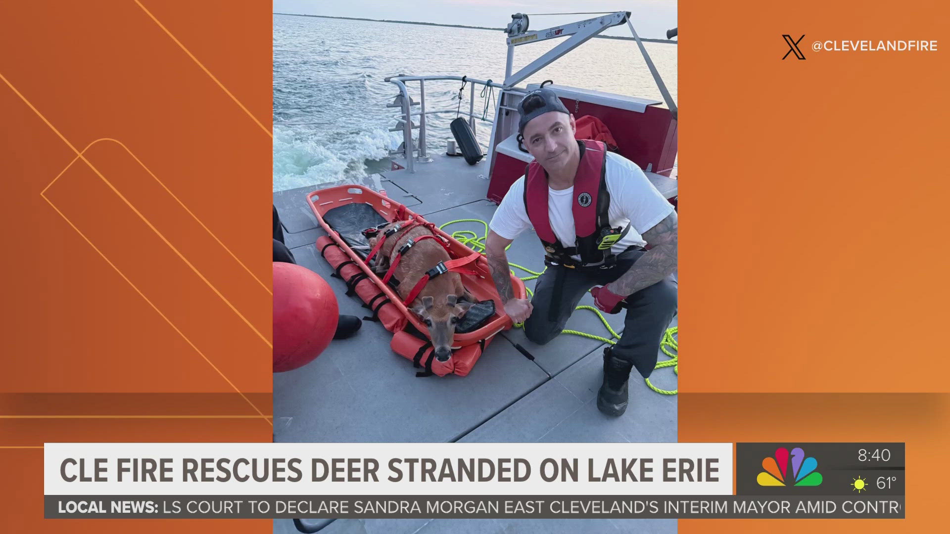 Cleveland firefighters rescue 'exhausted' deer from waters near Rock ...