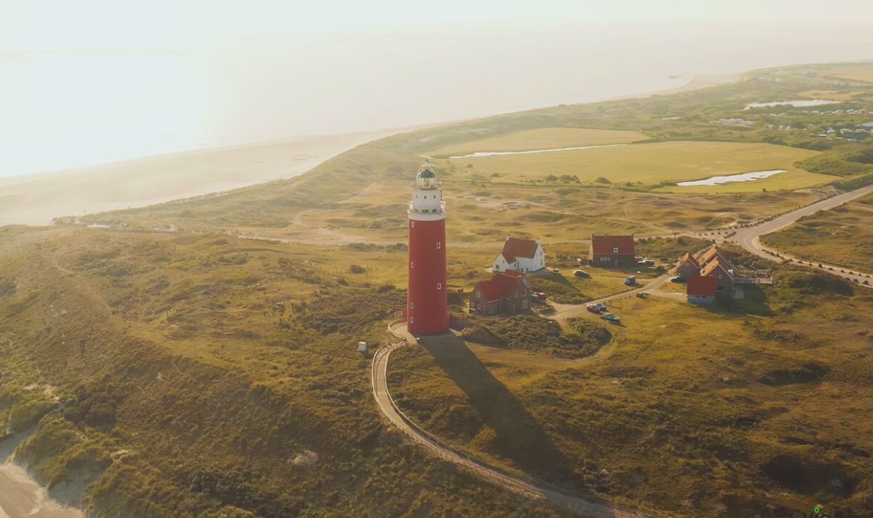 The Priceless Treasures Of The Palmwood Shipwreck