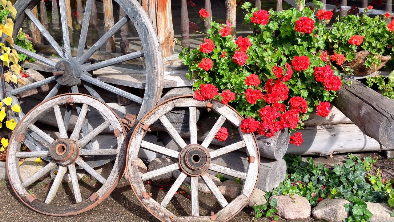 10 Outdated Front Yard Looks That Make Your House Seem Older