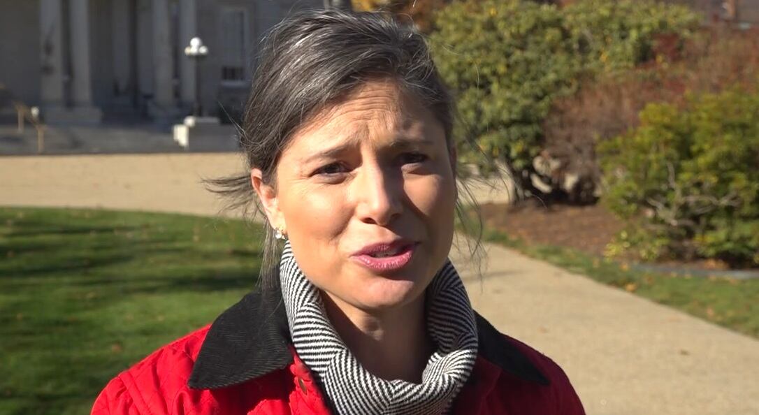 Goodlander launches first-ever Democratic Veterans Caucus