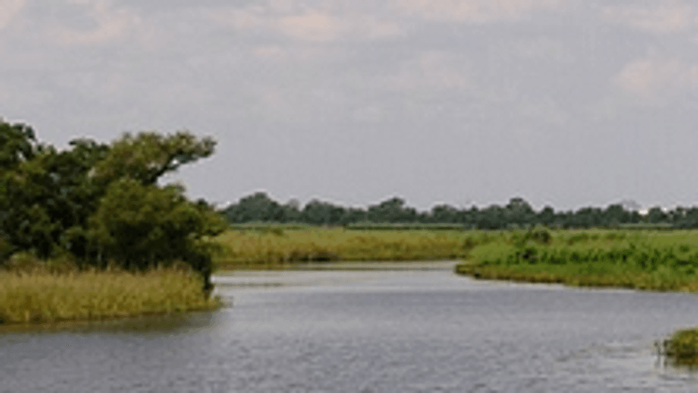 8k acres in Mobile-Tensaw Delta renamed E.O. Wilson Land Between the ...