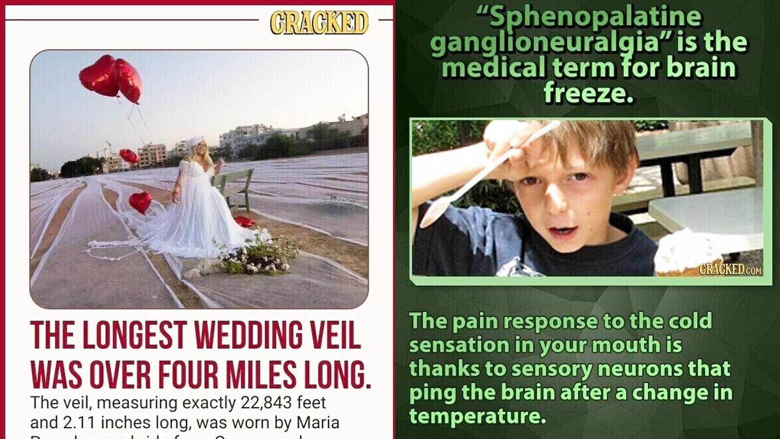 29 Shameful Bits of Trivia That Have Some Serious Explaining to Do