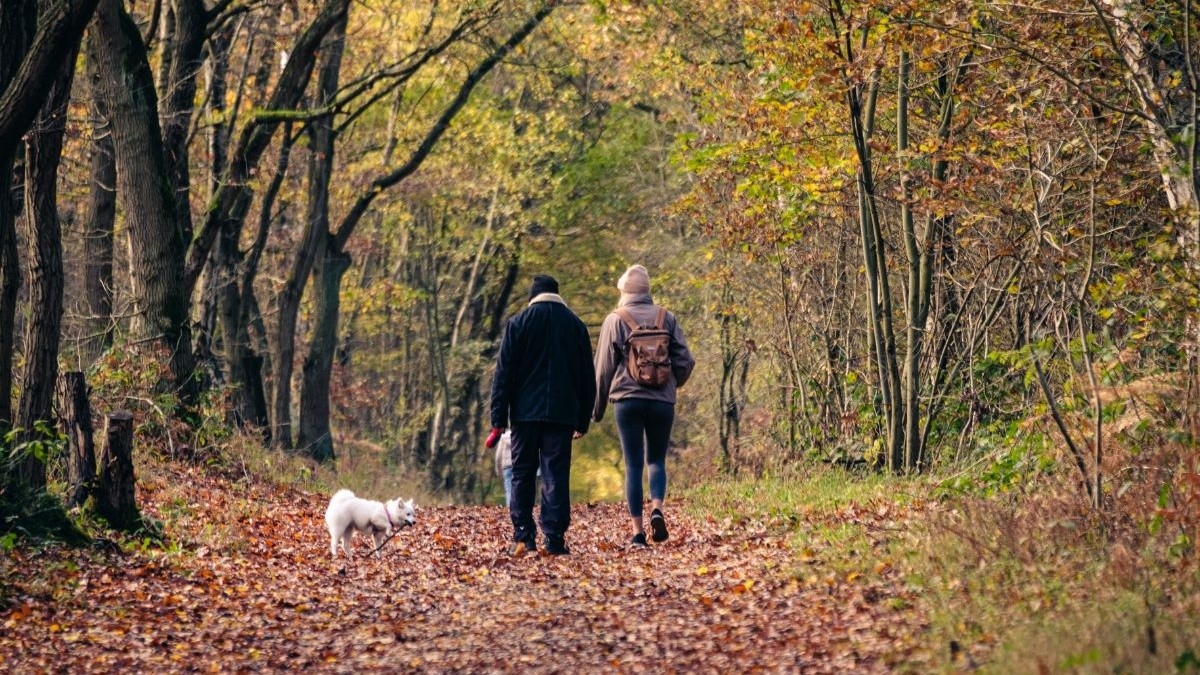 7 Romantic moments that couples who love with their hearts experience