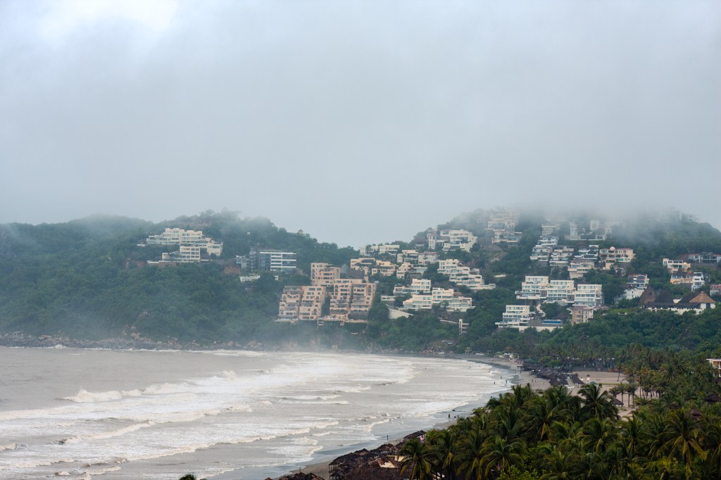 The Real-Life Dinosaurs That Were Combined Into Godzilla's Iconic Design