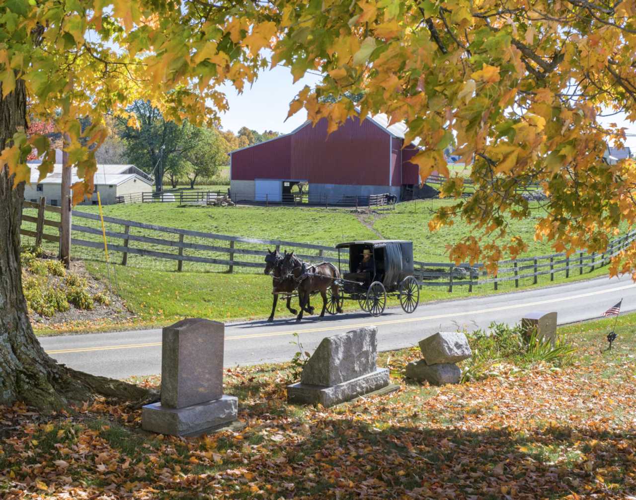 Danial Miller Charged In Fatal Lancaster County Buggy Crash