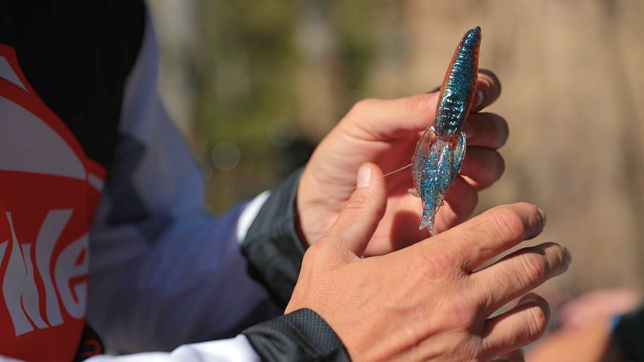 10 Best Bass Fishing Lures That Never Fail