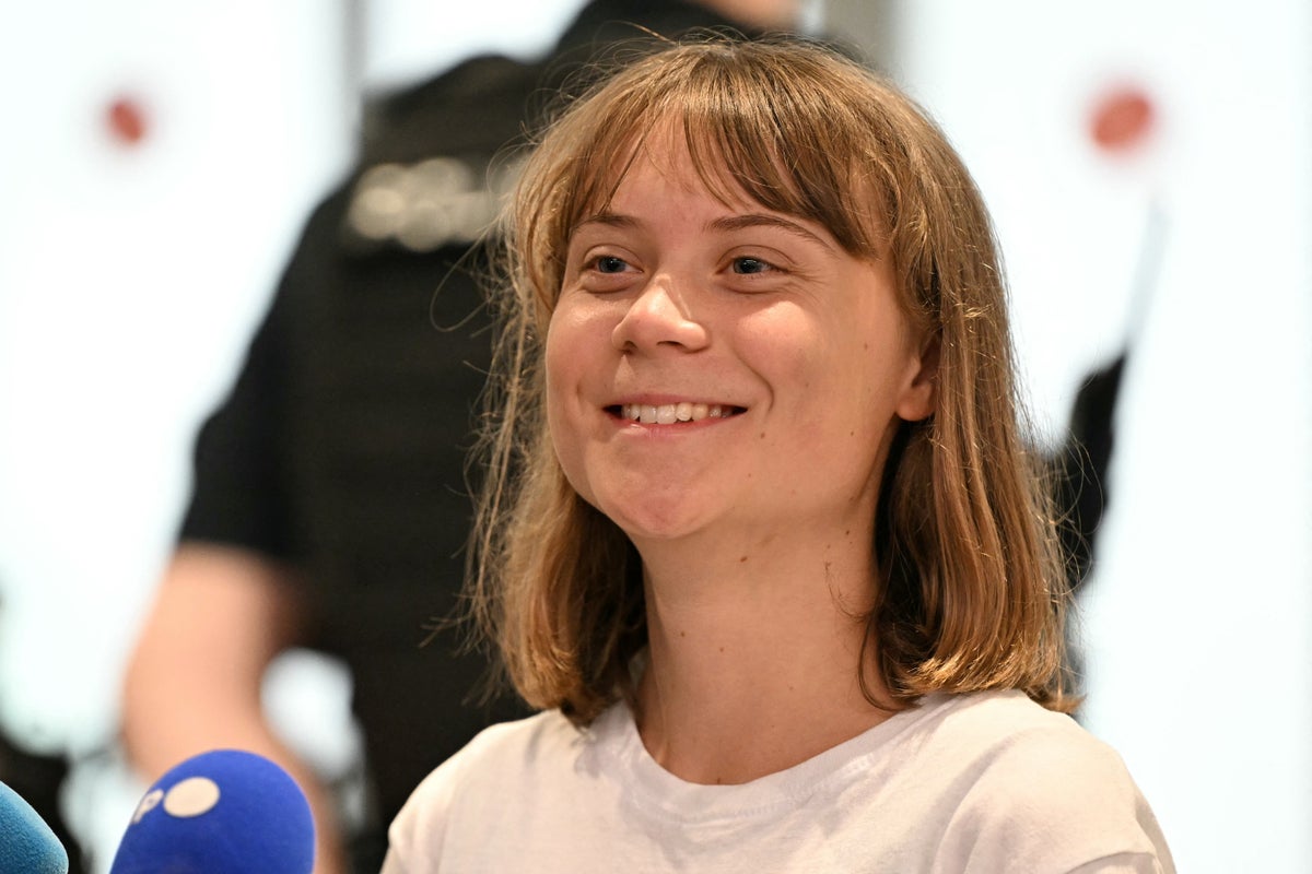 Greta Thunberg news latest: Climate activist breaks silence after being ...