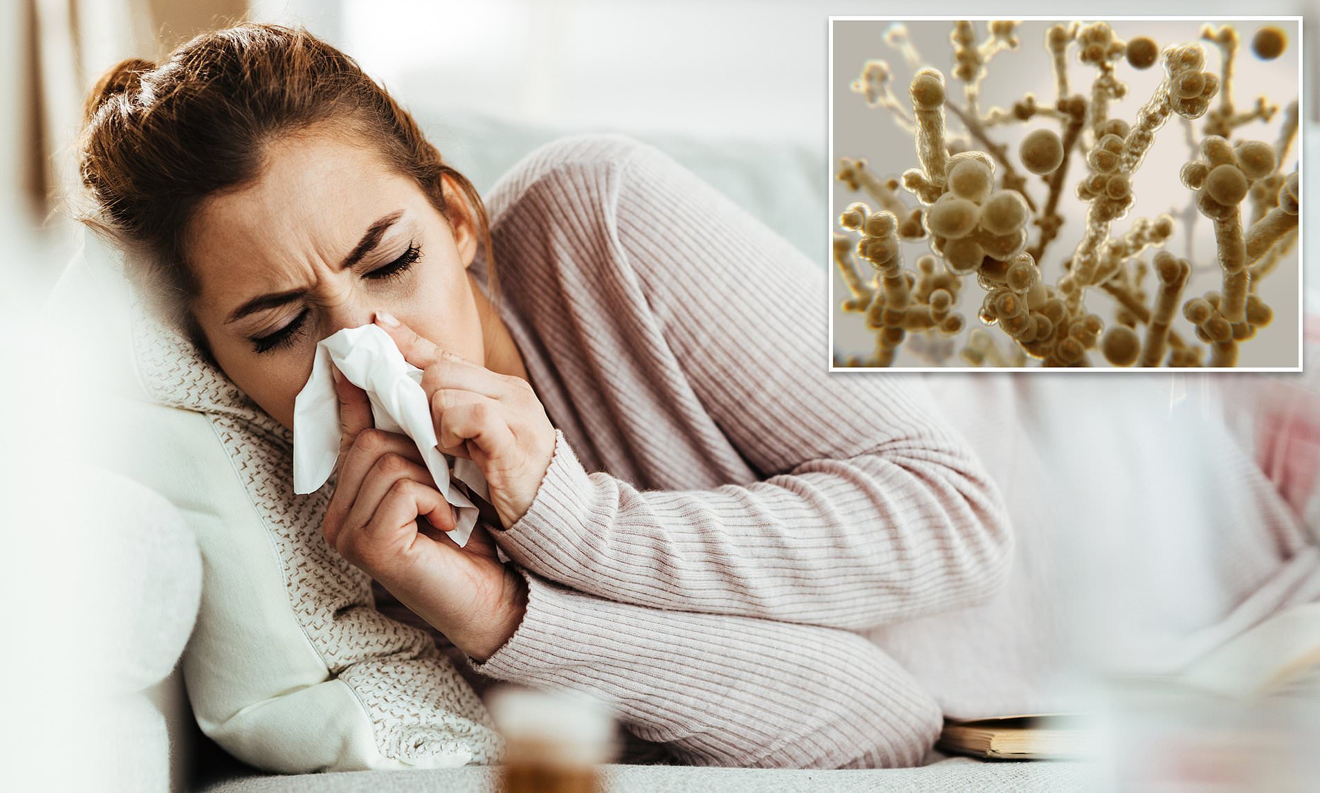 Urgent nationwide recall for OTC cold meds amid fears they could cause ...