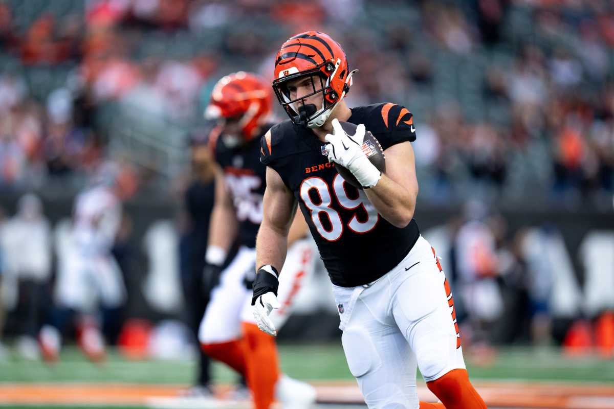 Bengals 2025 Roster Breakdown: Drew Sample remains Cincinnati's true ...