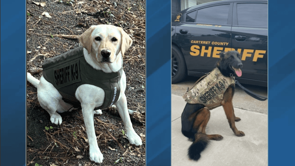 Carteret County K9s Kali and Yuna receive protective vests