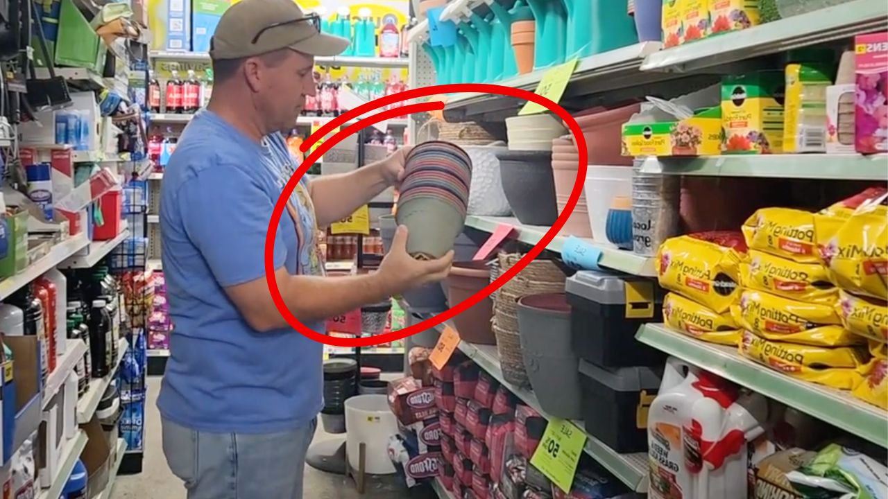 He buys a stack of Dollar Store flower pots for this GENIUS front yard ...