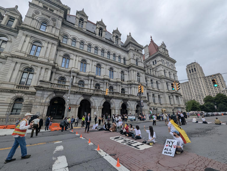 Voices rise at Albany rally for New York for All Act