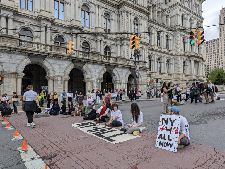 Voices rise at Albany rally for New York for All Act