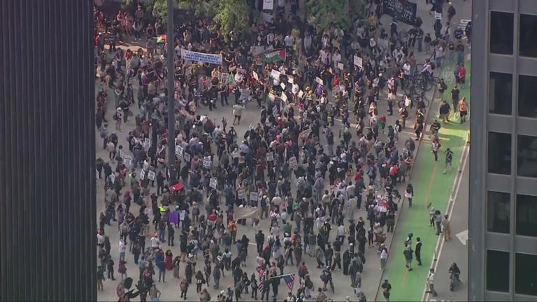 The Latest: More than 15 arrested in Tuesday ICE protests in downtown ...