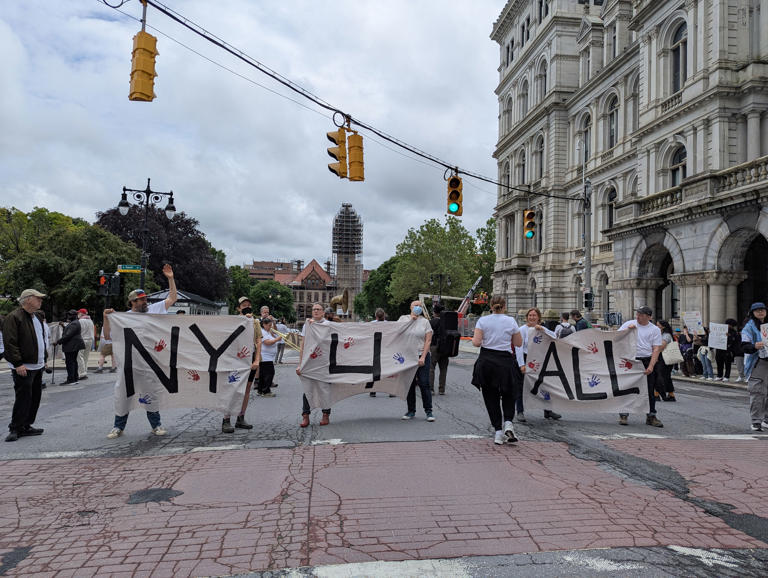 Voices rise at Albany rally for New York for All Act