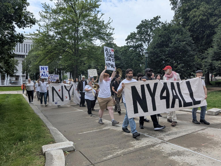 Voices rise at Albany rally for New York for All Act