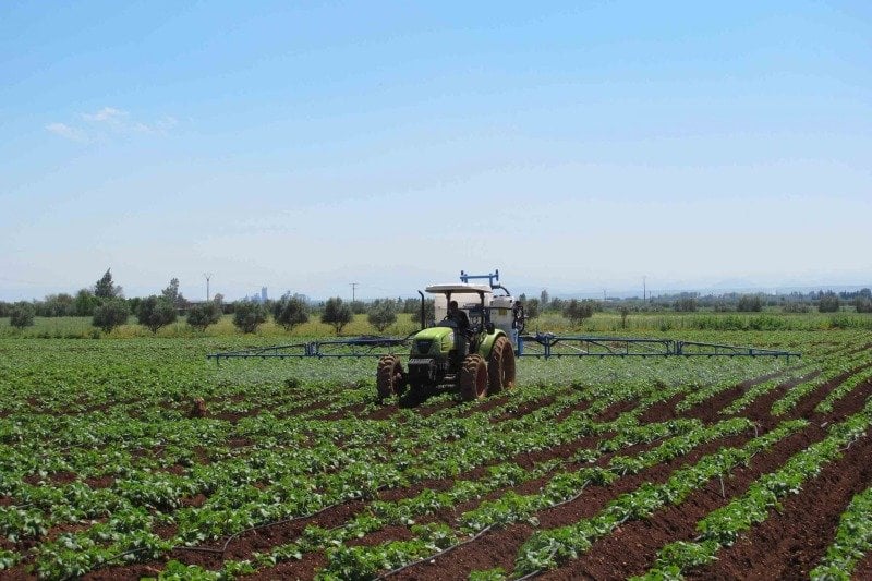 Morocco's 2025 farming season rebounds after drought lull