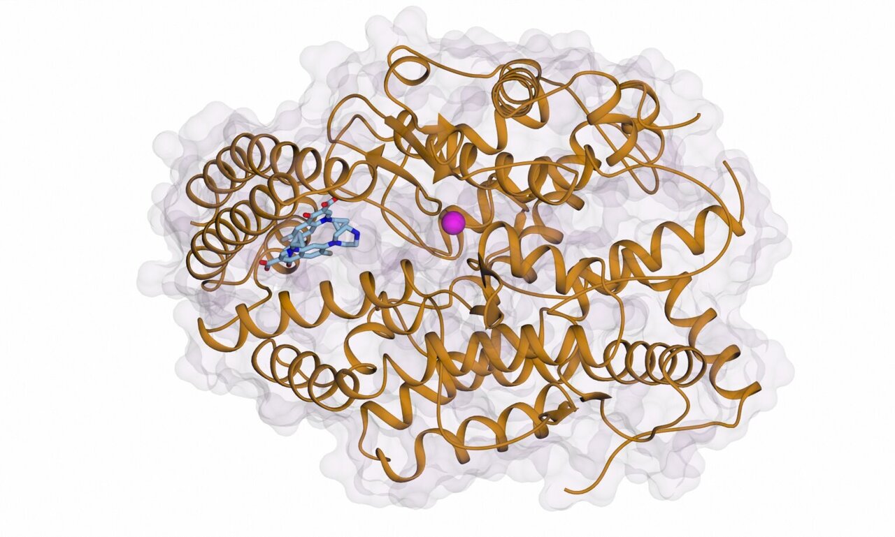 Antibiotic ciprofloxacin shows promise as template for new blood ...